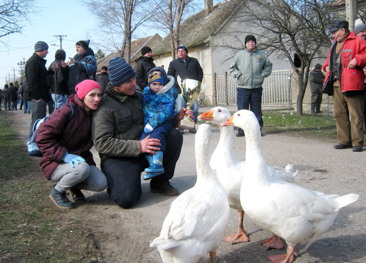 Летело перје у великом финалу 32. Гусанијаде у Мокрину | Dnevnik
