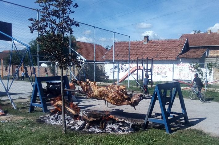 Во на ражњу за прославу на Адицама | Dnevnik