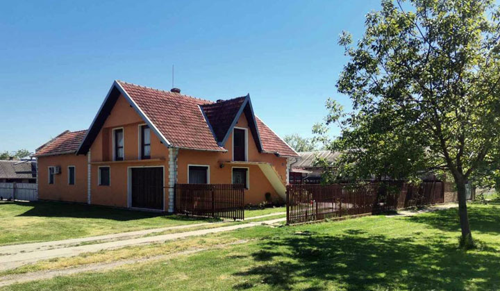 Личани а пустили корене у мирном селу Сакуле у Банату (фото) | Dnevnik