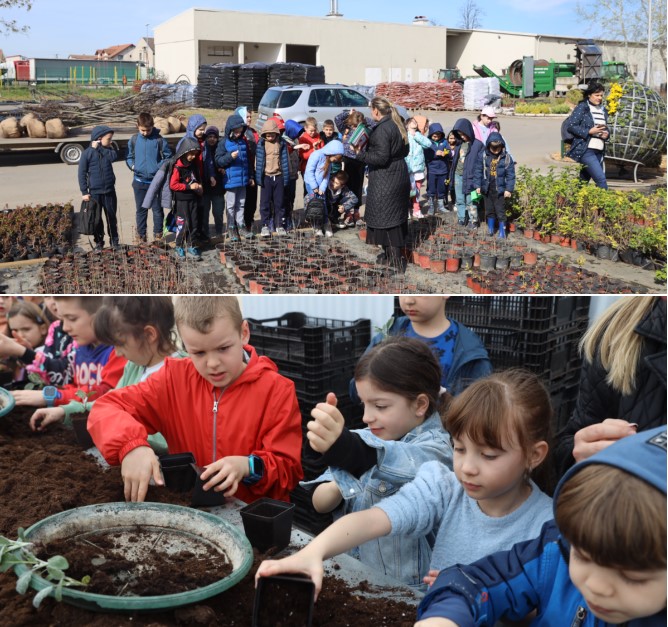 СВЕТ ОКО НАС У РАСАДНИКУ ГРАДСКОГ ЗЕЛЕНИЛА Ђаци из ОШ "Ђура Даничић ...