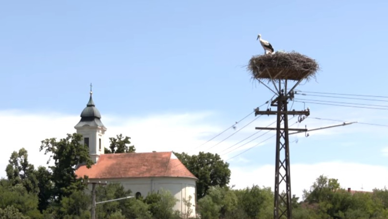 Вино и ракија су спремни! ЗА ВИКЕНД СУ „НЕШТИНСКИ СОКАЦИ“ Чувају се ...