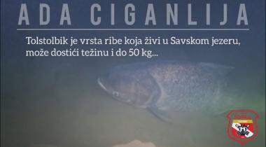 Наслови | Dnevnik